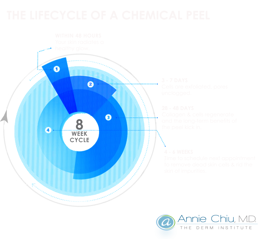 chemical-life-cycle - Cosmetic Dermatology Manhattan Beach | Dr Annie ...