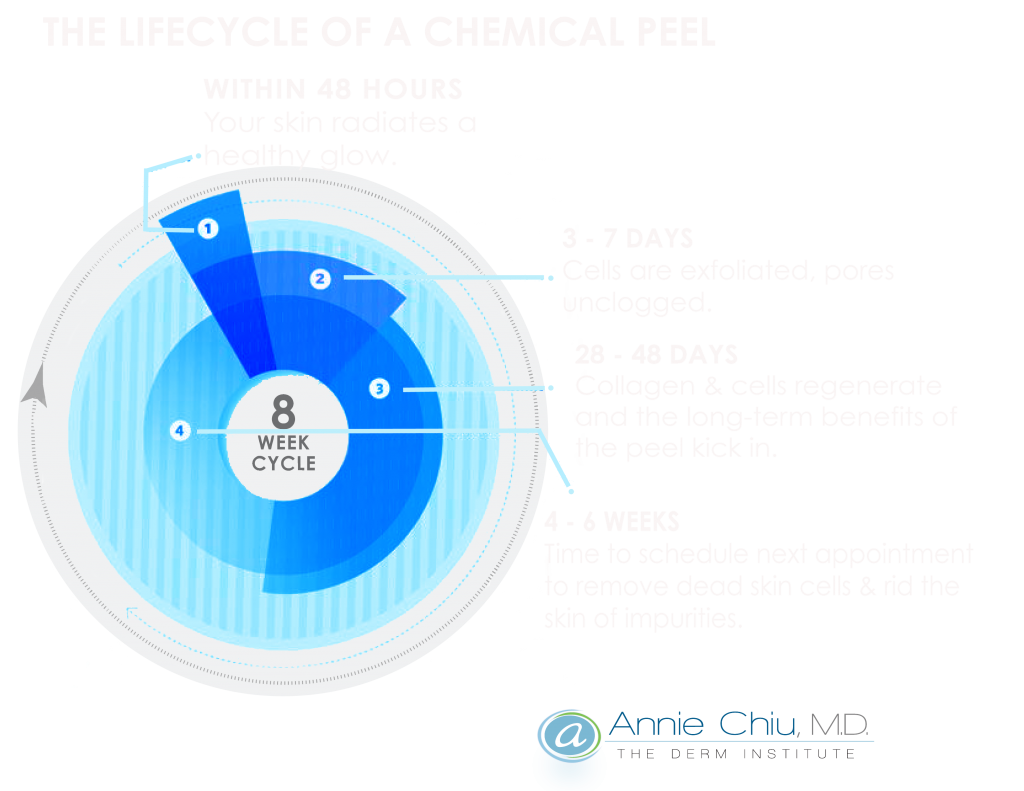 chemical-life-cycle.psd - Cosmetic Dermatology Manhattan Beach | Dr ...