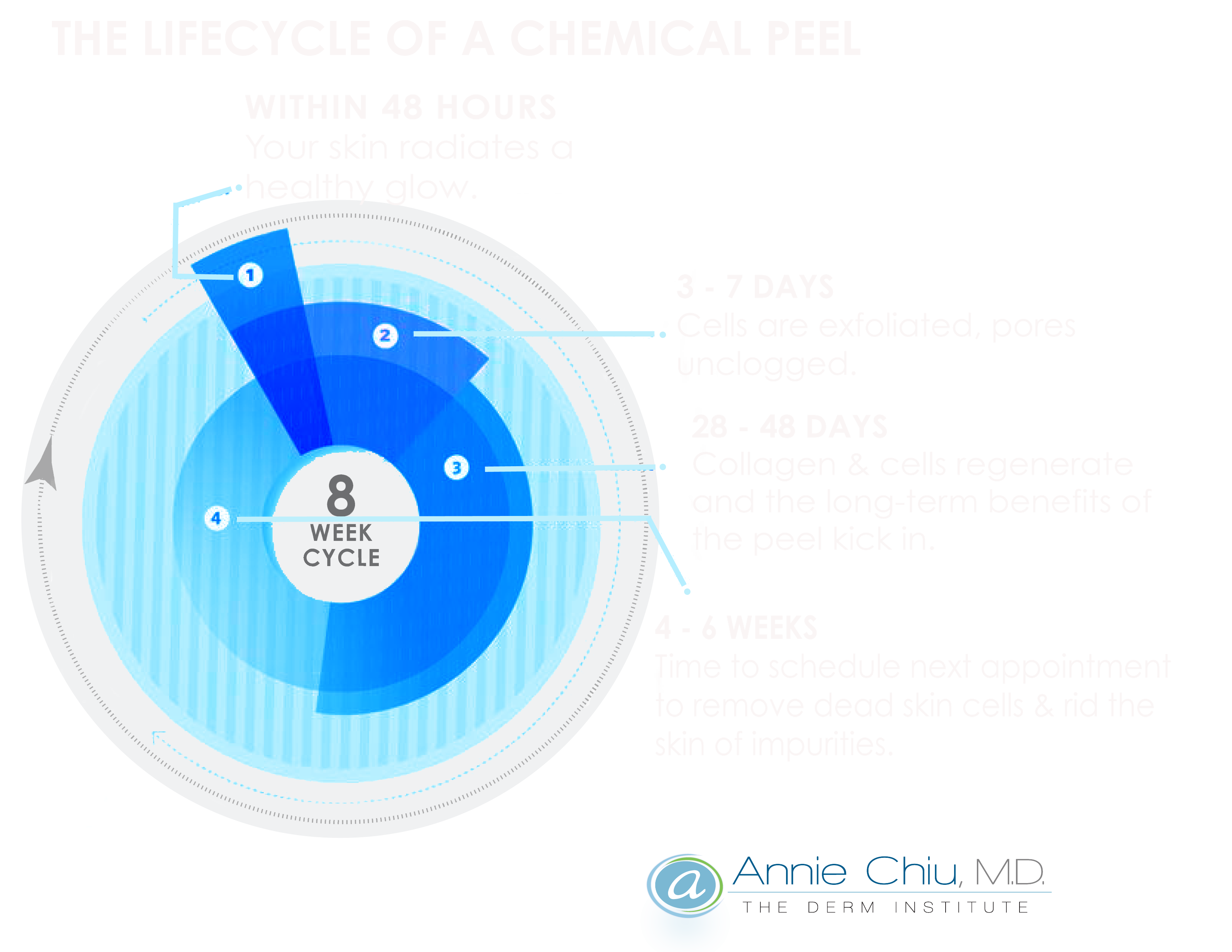 chemical-life-cycle.psd - Cosmetic Dermatology Manhattan Beach | Dr ...